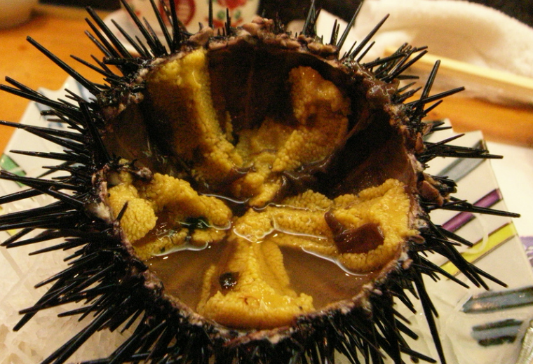 Culinair ontdekt: Zee-egel - Foodlog